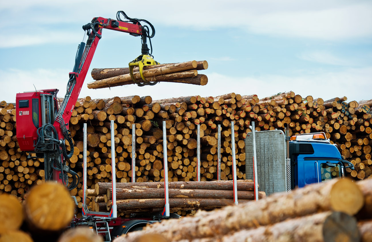 LOGLIFT 96S | Forestry Cranes | Hiab