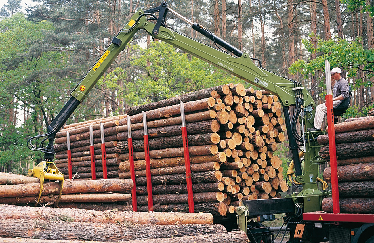 LOGLIFT | Forestry Cranes | Hiab