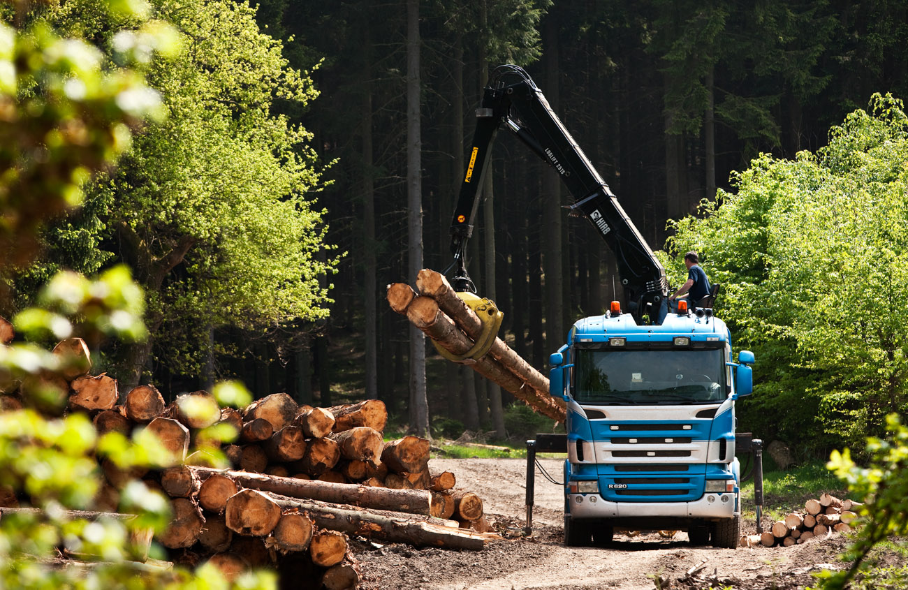 LOGLIFT 251S | Forestry Crane | Hiab | Hiab