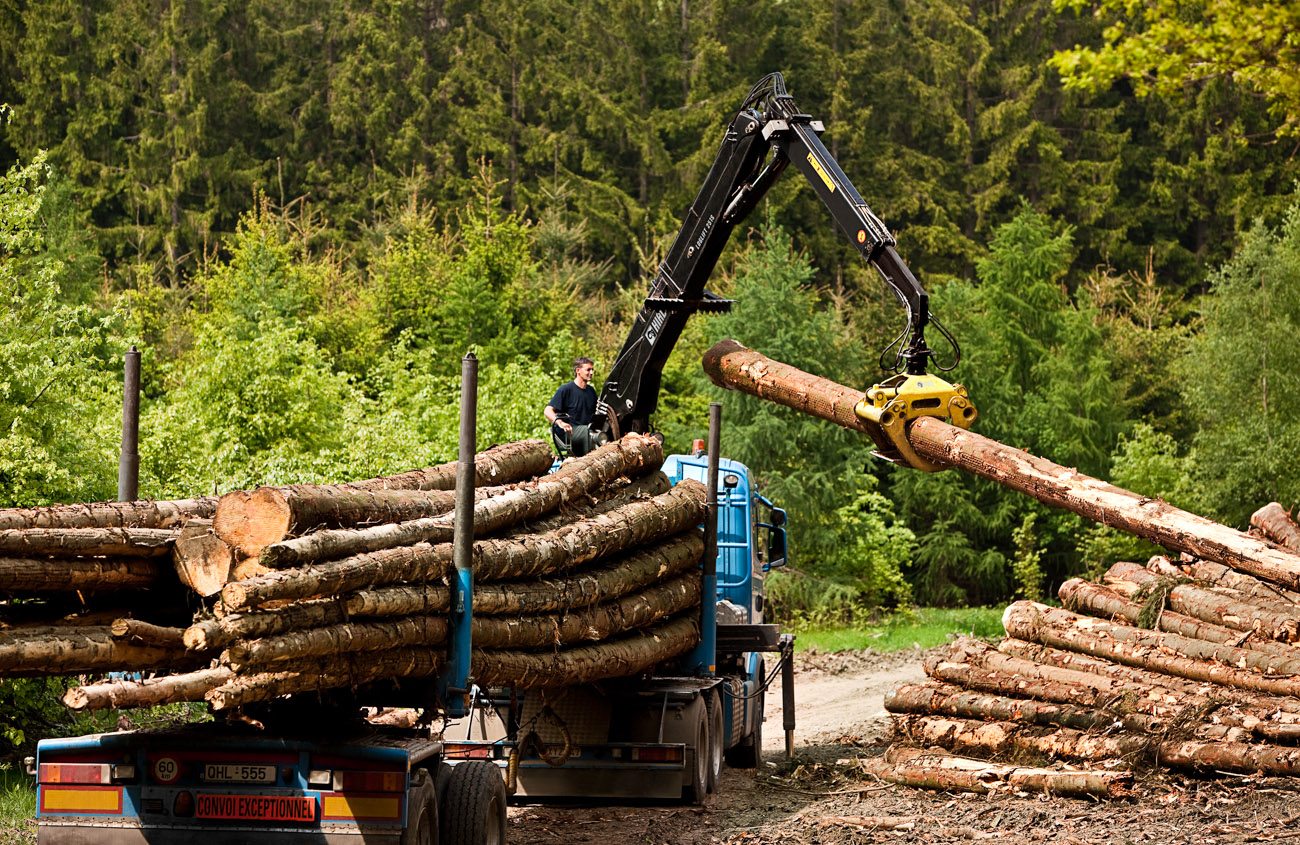 LOGLIFT 251S | Forestry Cranes | Hiab